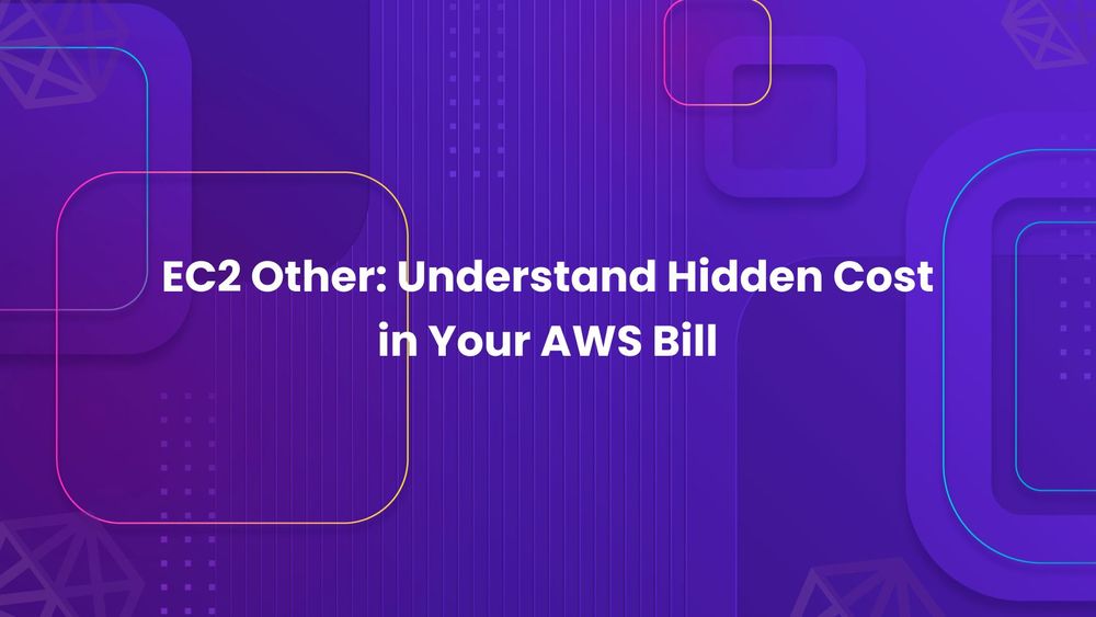 EC2 Other: Understand Hidden Cost in Your AWS Bill